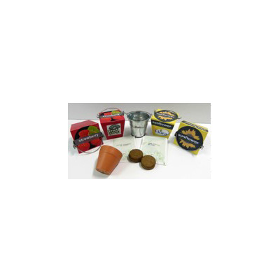 Product - Mini Zinc Bucket Growing Kit